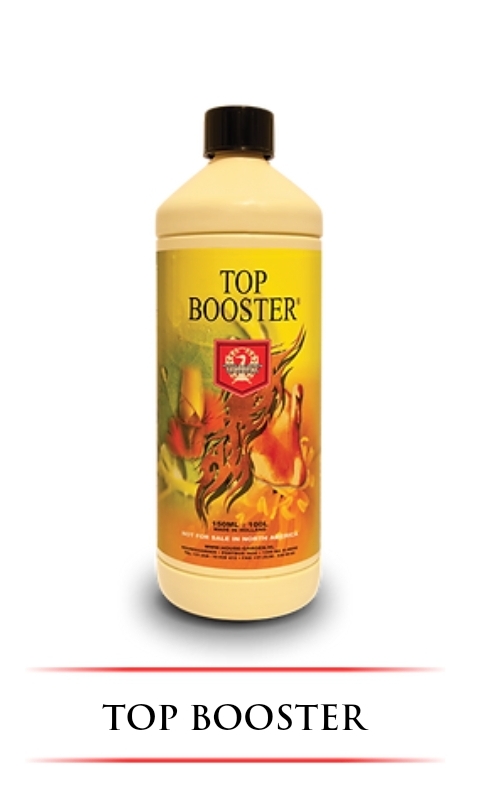| Lotz of Potz Hydro